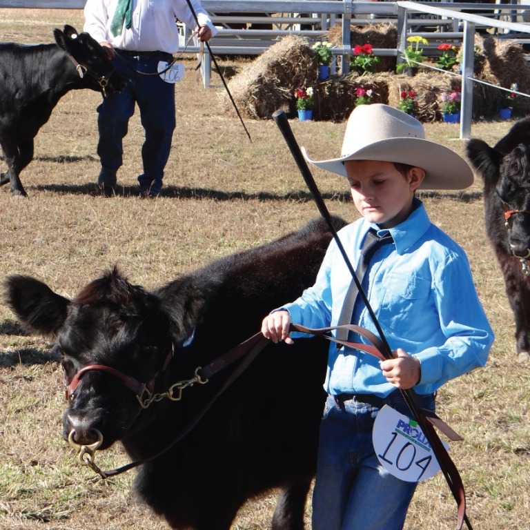 Schedules – Mt Larcom Show