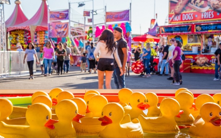 Mt Larcom Show – Agricultural Show