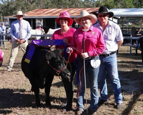 Gallery – Mt Larcom Show