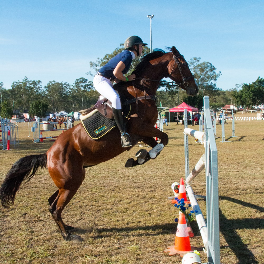 Schedules – Mt Larcom Show