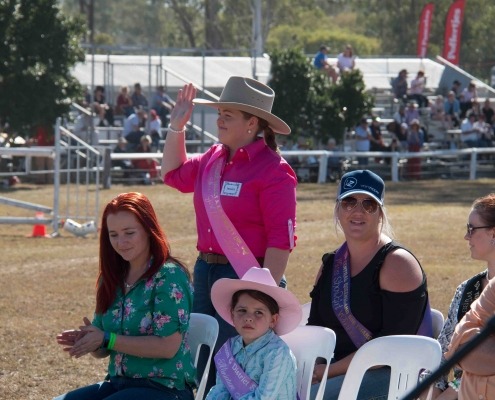 Gallery – Mt Larcom Show