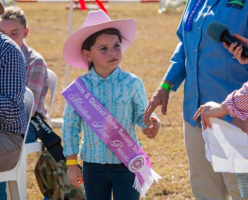 Gallery – Mt Larcom Show
