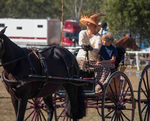 Gallery – Mt Larcom Show