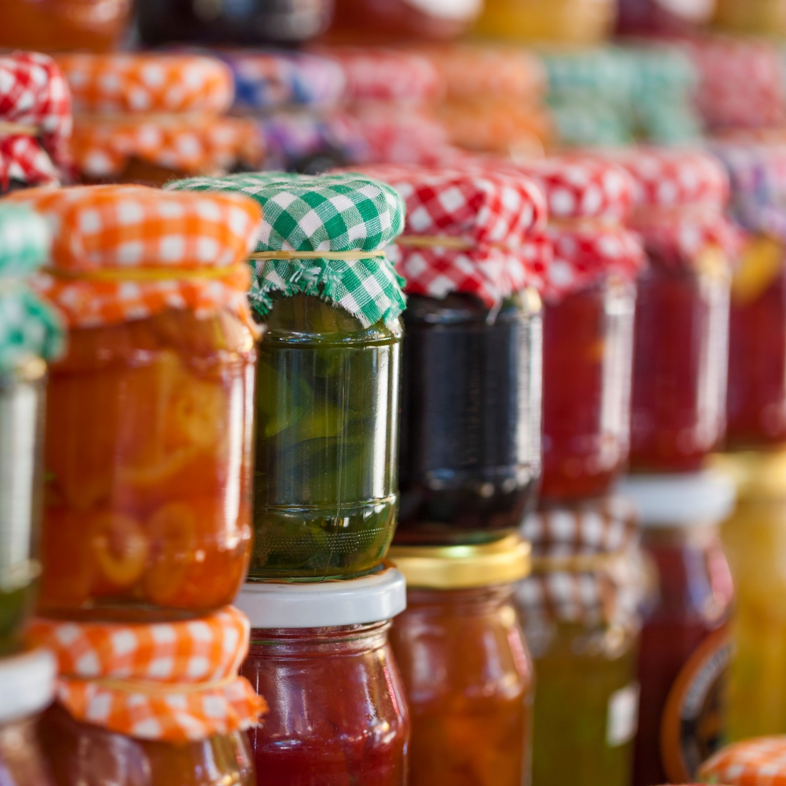 Schedules – Mt Larcom Show