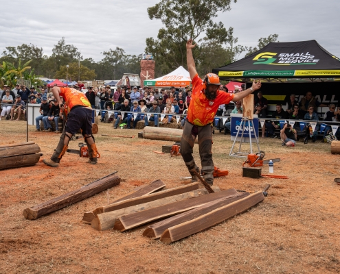 Gallery – Mt Larcom Show