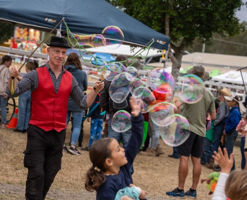 Gallery – Mt Larcom Show